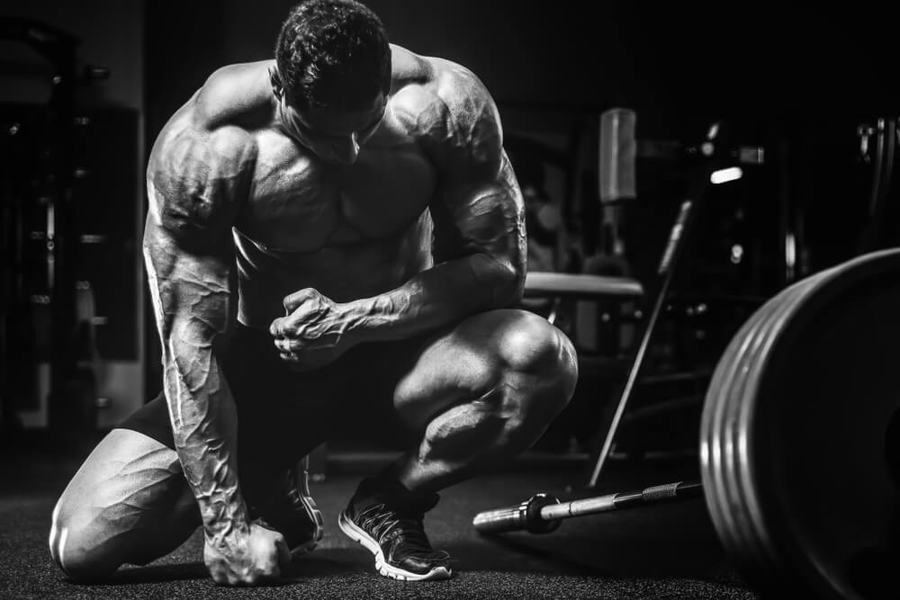 THE GUY WHO WENT 1504LBS ONE YEAR INTO TRAINING: THE JULS BORG INTERVIEW